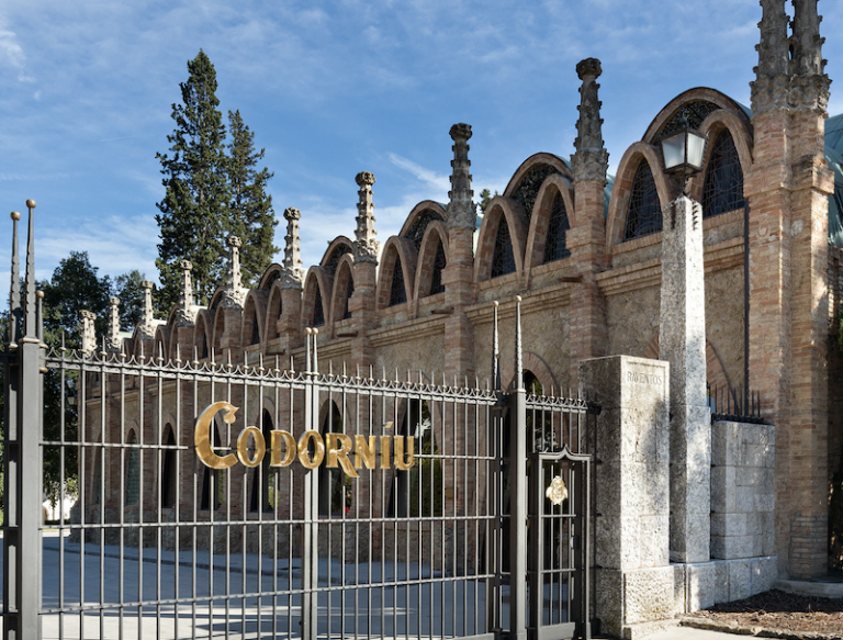 VISITA GUIADA A LA BODEGA CODORNIU EN SANT SADURNÍ D'ANOIA - Sortir amb ...